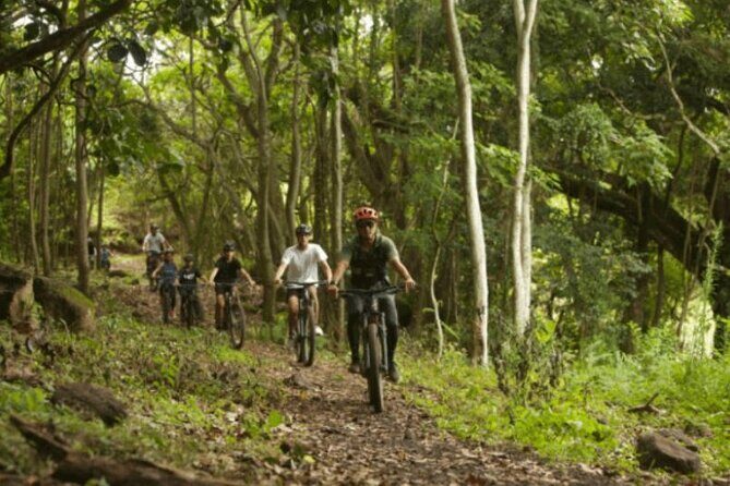 Kualoa Ranch - Ultra E-Bike Tour 3-Hour - Who Will Love This Tour?