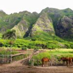 Kualoa Ranch UTV Raptor Tour - FAQ