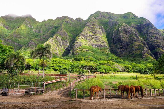 Kualoa Ranch UTV Raptor Tour - FAQ