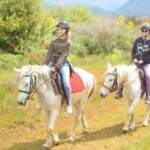 Kusadasi: Beach and Forest Horse Riding Tour - What the Tour Looks Like Step-by-Step