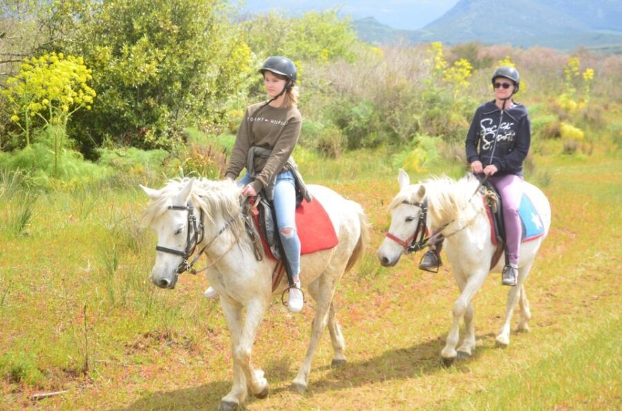 Kusadasi: Beach and Forest Horse Riding Tour - What the Tour Looks Like Step-by-Step