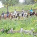 Kusadasi Horse Riding Beach and Forest options with Transfer - Who Is This Tour Best For?