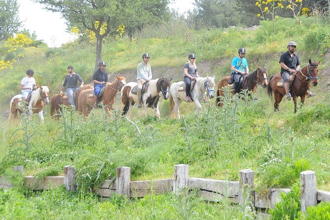 Kusadasi Horse Riding Beach and Forest options with Transfer - Who Is This Tour Best For?