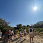 Kusadasi Village Tour & Traditional Food Tasting - The Itinerary in Detail
