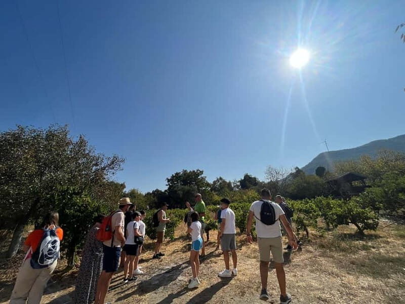 Kusadasi Village Tour & Traditional Food Tasting - The Itinerary in Detail