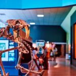 La Brea Tar Pits and Museum Admission Ticket with Excavator Tour - The Excavator Tour: A Unique Insider Experience
