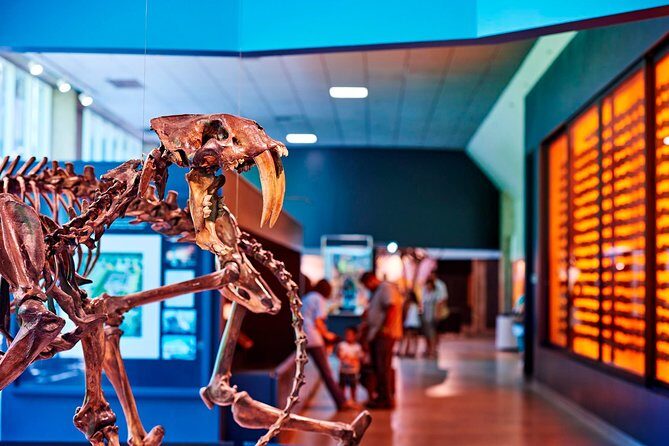 La Brea Tar Pits and Museum Admission Ticket with Excavator Tour - The Excavator Tour: A Unique Insider Experience