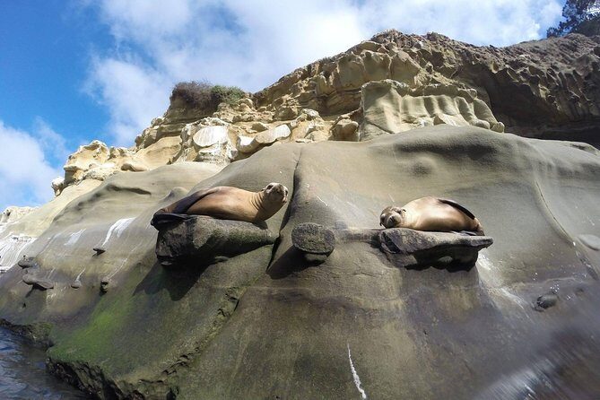 La Jolla Sea Caves Kayak Tour For Two (Tandem Kayak) - The Paddling Experience