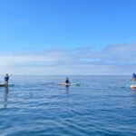 Laguna Beach Stand Up Paddle Activity - The Authentic Benefits of a SUP Tour in Laguna Beach
