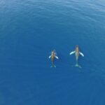 Lahaina: Private Sunset Sailing Trip & West Maui Mountains - The Itinerary: Breaking Down the Cruise
