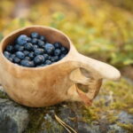 Lahti: Wild Food Foraging Tour with Tastings - Frequently Asked Questions