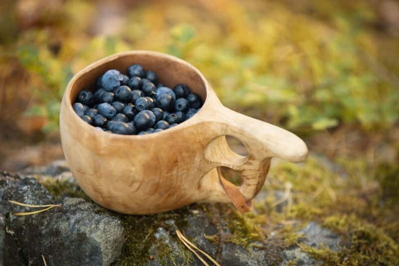 Lahti: Wild Food Foraging Tour with Tastings - Frequently Asked Questions