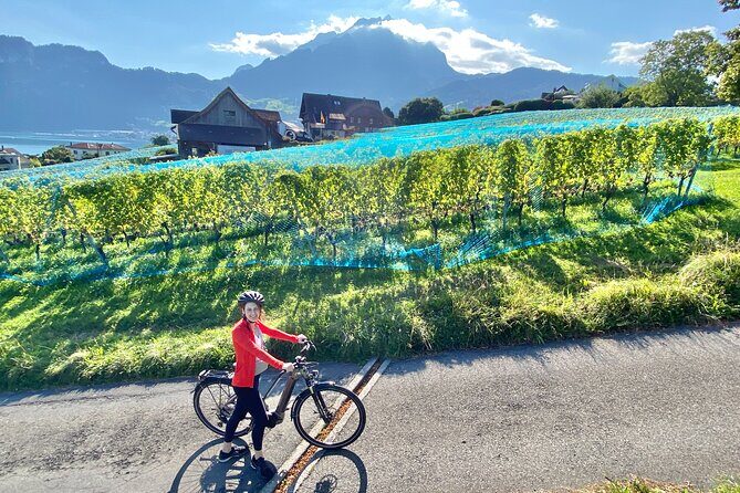Lake Lucerne Peninsula e-Bike Tour - Key Points