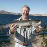 Lake Mead Striped Bass Fishing Getaway - A Closer Look at the Lake Mead Striped Bass Fishing Getaway