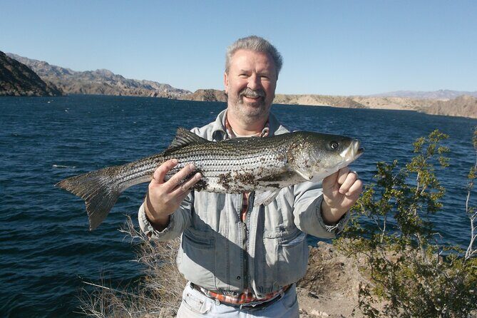Lake Mead Striped Bass Fishing Getaway - A Closer Look at the Lake Mead Striped Bass Fishing Getaway