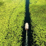 Lake Skadar: Guided Sightseeing Boat Tour with Drinks - What Makes This Tour a Great Choice?