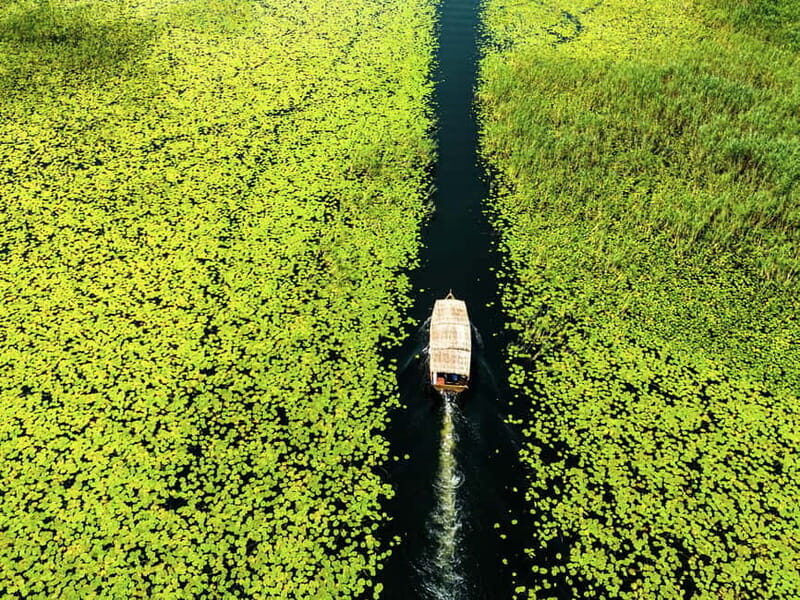 Lake Skadar: Guided Sightseeing Boat Tour with Drinks - What Makes This Tour a Great Choice?