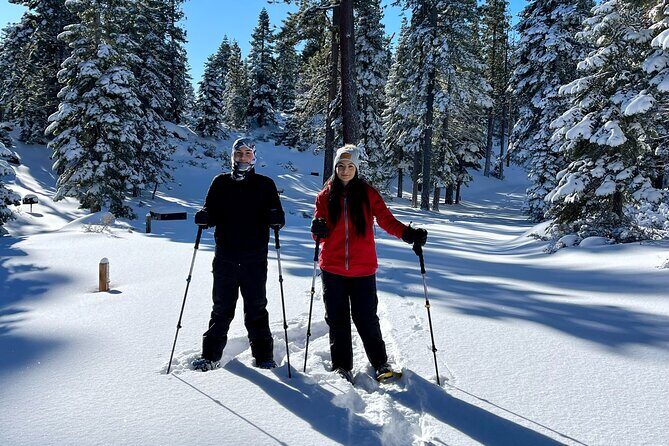 Lake Tahoe-Hike Year Round With a Local - Authentic Feedback from Travelers