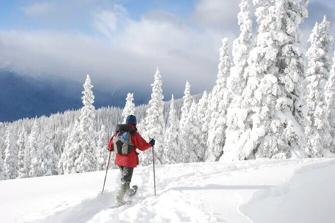 Lake Tahoe Snowshoe Rental Packages - What You Can Expect from This Rental Package