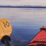 Lake Yellowstone Half Day Kayak Tours Past Geothermal Features - The Itinerary: An In-Depth Look