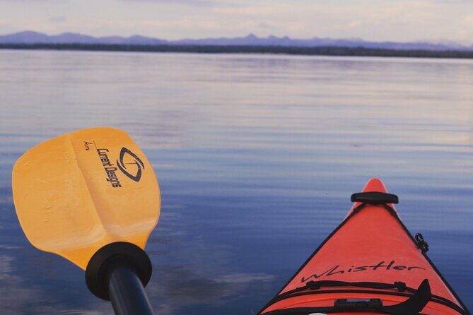 Lake Yellowstone Half Day Kayak Tours Past Geothermal Features - The Itinerary: An In-Depth Look