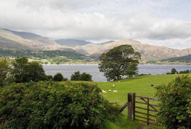 Lakes & mountains, spectacular scenery with an easy short walk - The Overall Experience — What We Think