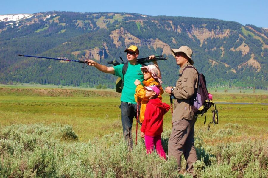 Lamar Valley: Safari Hiking Tour with Lunch - Why the Guides Make the Difference