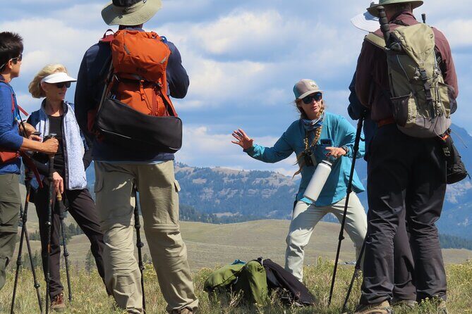 Lamar Valley Safari Hiking Tour with Lunch - The Sum Up: Who Will Love This Tour?