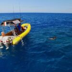 Lanai Deluxe Dolphin Adventure & 3 Snorkel Sites - Why This Tour is Worth Considering