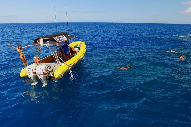Lanai Deluxe Dolphin Adventure & 3 Snorkel Sites - Why This Tour is Worth Considering