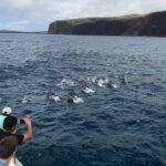Lanai Snorkel and Dolphin Watch from Maalaea - Final Thoughts: Is It Worth Your While?
