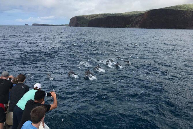 Lanai Snorkel and Dolphin Watch from Maalaea - Final Thoughts: Is It Worth Your While?