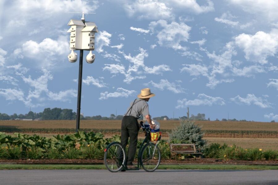 Lancaster County: Amish Farmlands, Museum Tour, Farm Visit - The Farm Visit: A Genuine Connection