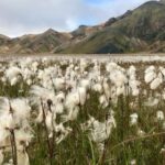 Landmannalaugar by Super Jeep - Frequently Asked Questions (FAQs)