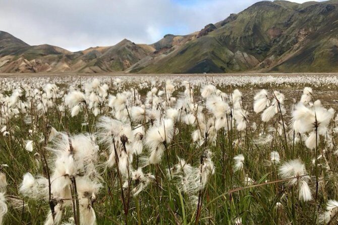 Landmannalaugar by Super Jeep - Frequently Asked Questions (FAQs)