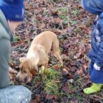 Langhe Truffle hunting Experience - Final Thoughts