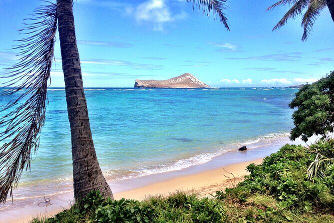 Lanikai to Mokulua islands Stand Up Paddle Board Tour - The Experience Through the Lens of Past Travelers