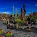 Lanzarote Tour: Lagomar Museum, Guatiza Cactus Garden & La Graciosa Island - The Experience: What It Really Feels Like