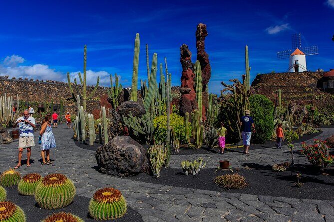 Lanzarote Tour: Lagomar Museum, Guatiza Cactus Garden & La Graciosa Island - The Experience: What It Really Feels Like