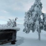 Lapland: Private VIP 7h Snowmobile Tour with Local Guide - What Makes It Special for Travelers