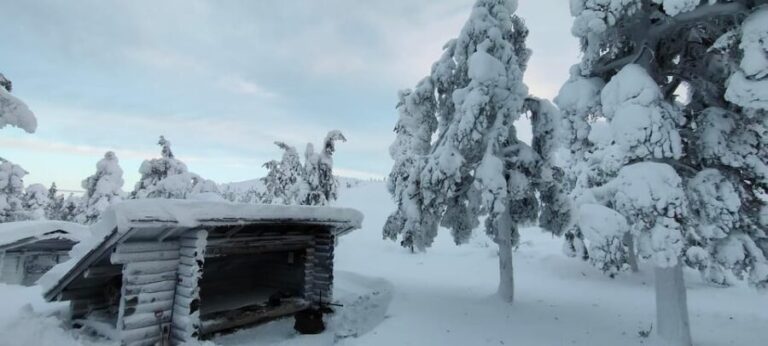 Lapland: Private VIP 7h Snowmobile Tour with Local Guide - What Makes It Special for Travelers