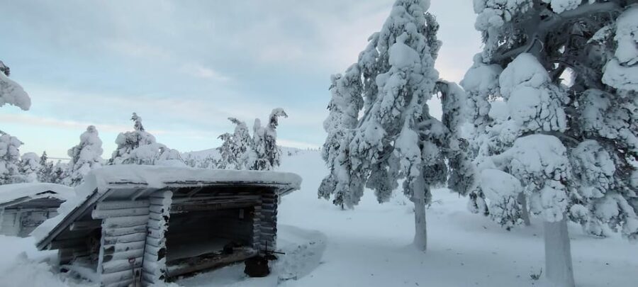 Lapland: Private VIP 7h Snowmobile Tour with Local Guide - What Makes It Special for Travelers