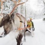 Lapland Reindeer Safari From Saariselkä - The Magic of the Landscape and Guides