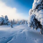 Lapland Snowmobile Safari from Levi - The Guides and Safety Measures