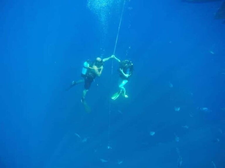 Larnaca: Private Zenobia Beginners Divers - What You Can Expect from the Tour