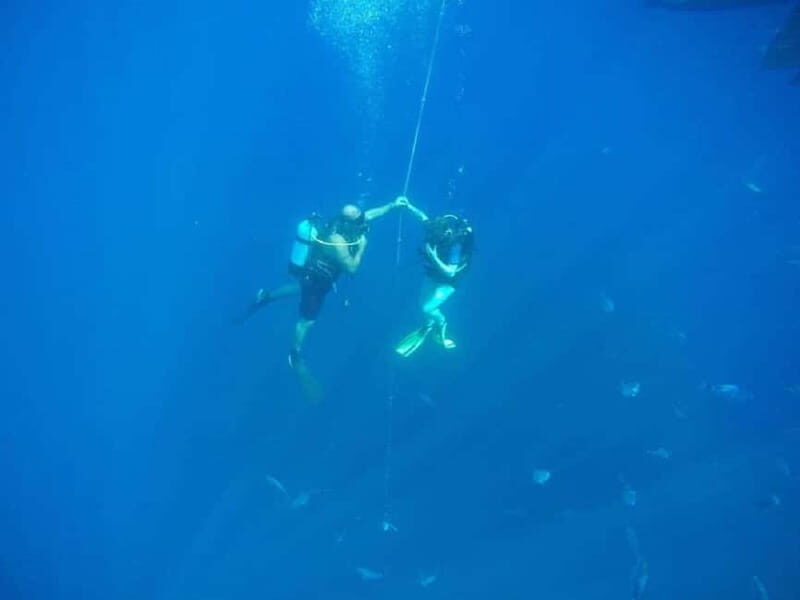 Larnaca: Private Zenobia Beginners Divers - What You Can Expect from the Tour