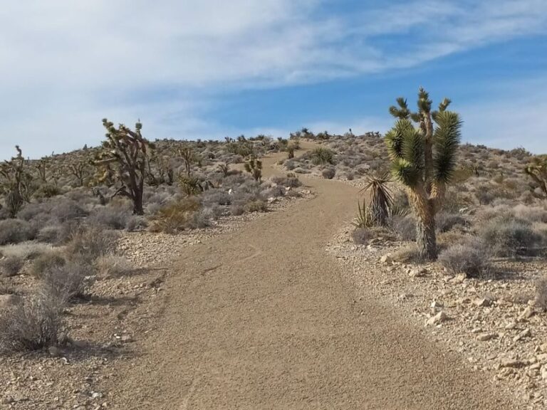 Las Vegas ATV Tours - The Experience in Context