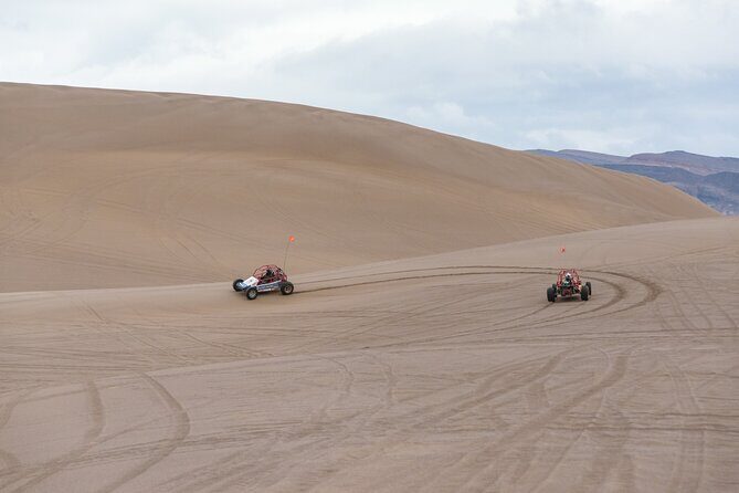 Las Vegas Big Dune Free Roam Adventure at Amargosa - The Experience: Authentic and Engaging