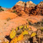 Las Vegas Day Trips: 3-Day Self-Guided Audio Tour - Exploring the Itinerary: What You Actually Get