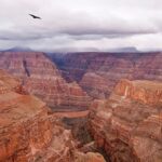 Las Vegas: Grand Canyon Helicopter Landing Tour - The Value of the Tour